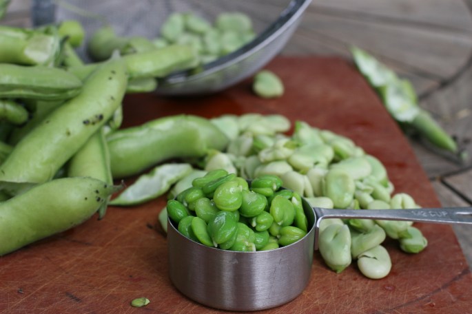Fava Bean Preparation and “How-To” Grill Fava Beans | Red Wagon Farm