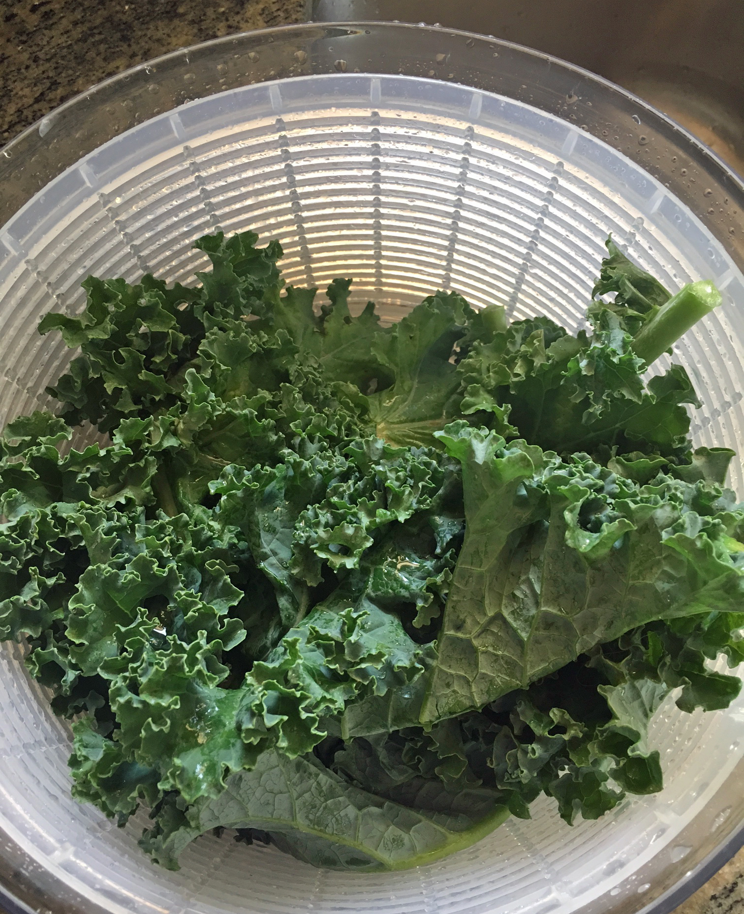 The Perfect Kale Chip Recipe: Guest CSA Member Recipe | Red Wagon Farm