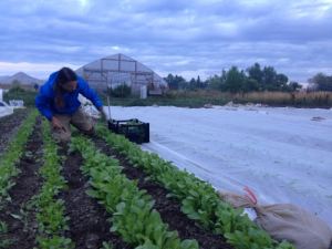 Farm Worker Pay and the Price of CSA Shares | Red Wagon Farm