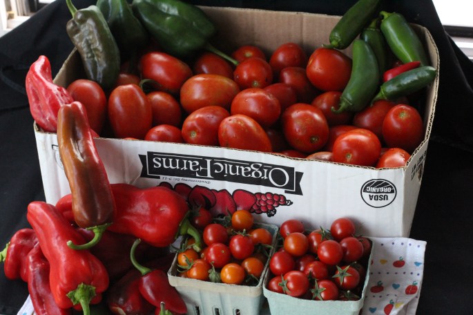 U-Pick at Thomas Open Space Farm | Red Wagon Farm